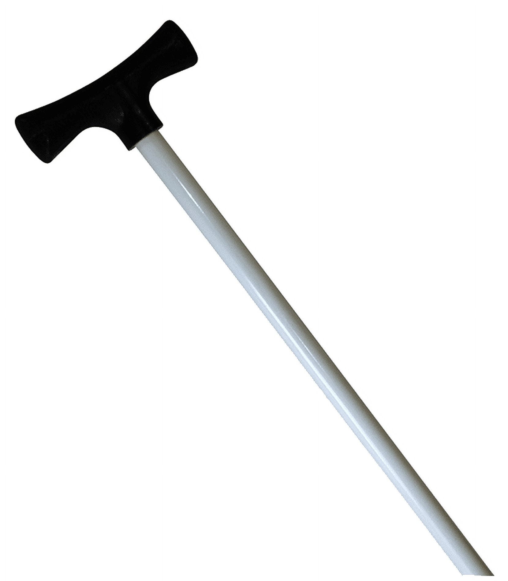 Stick It Anchor Pin for shallow water- 8' White Anchor Pin Only ...