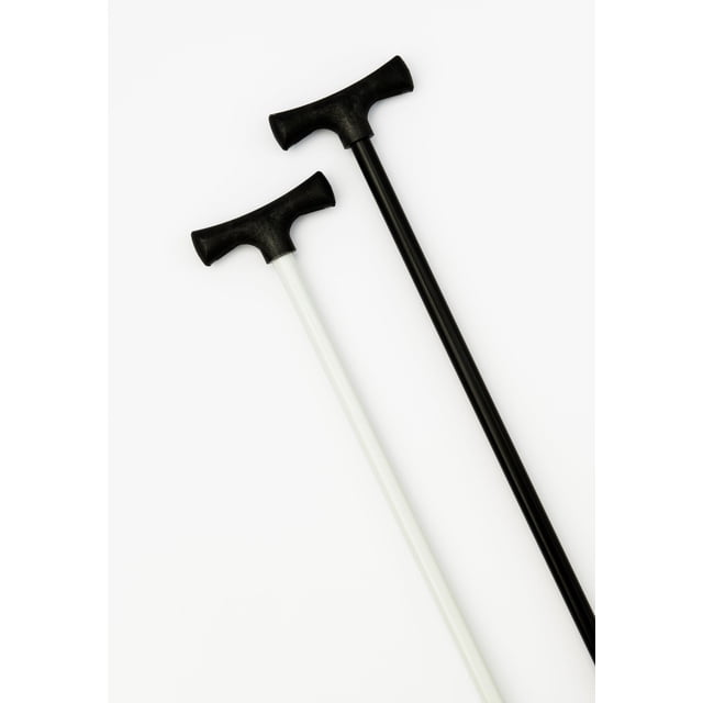 Stick It Anchor Pins for Shallow Water- Anchor Pin System and 8' Black ...
