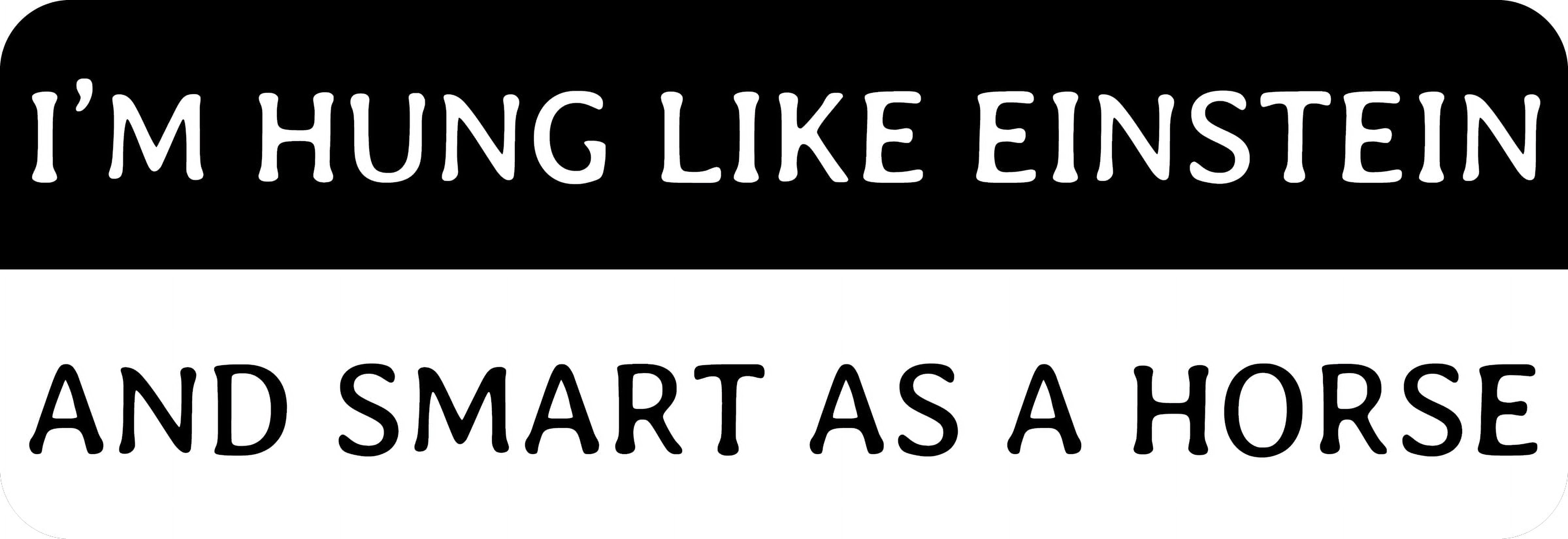 Sticker Mania Funny Sticker Decals - Fun Decal Set, Weather Resistant Outdoor Sticker, Water ...