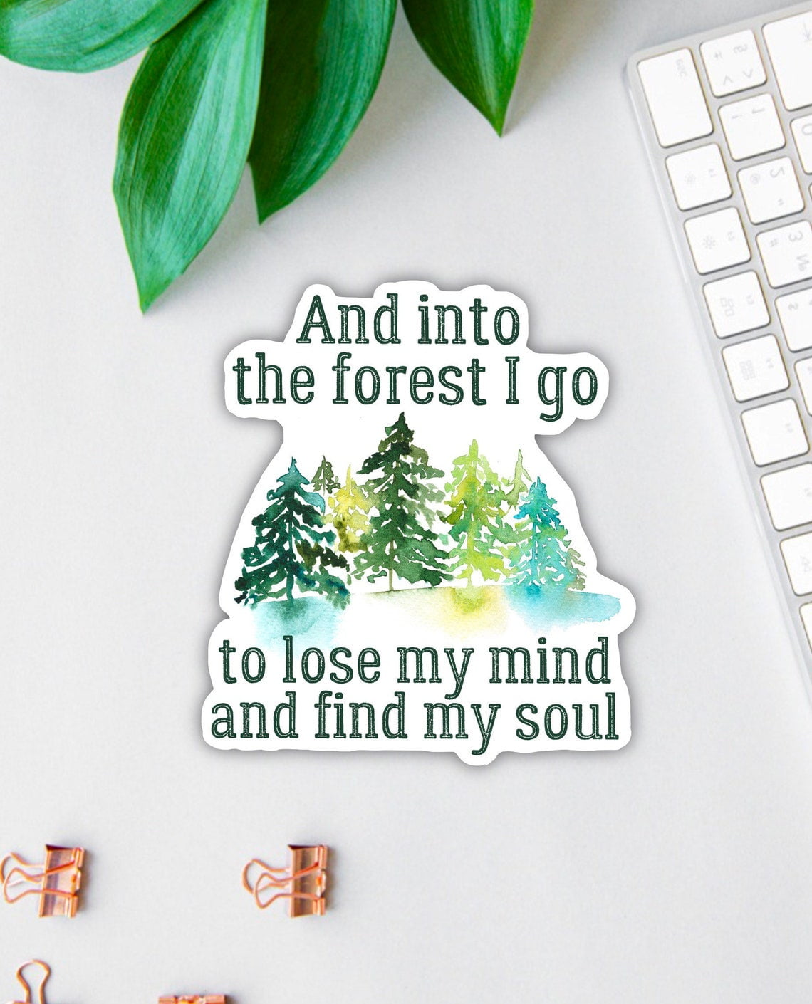 StickerCraft And Into The Forest I Go er | Inspirational John Muir ...