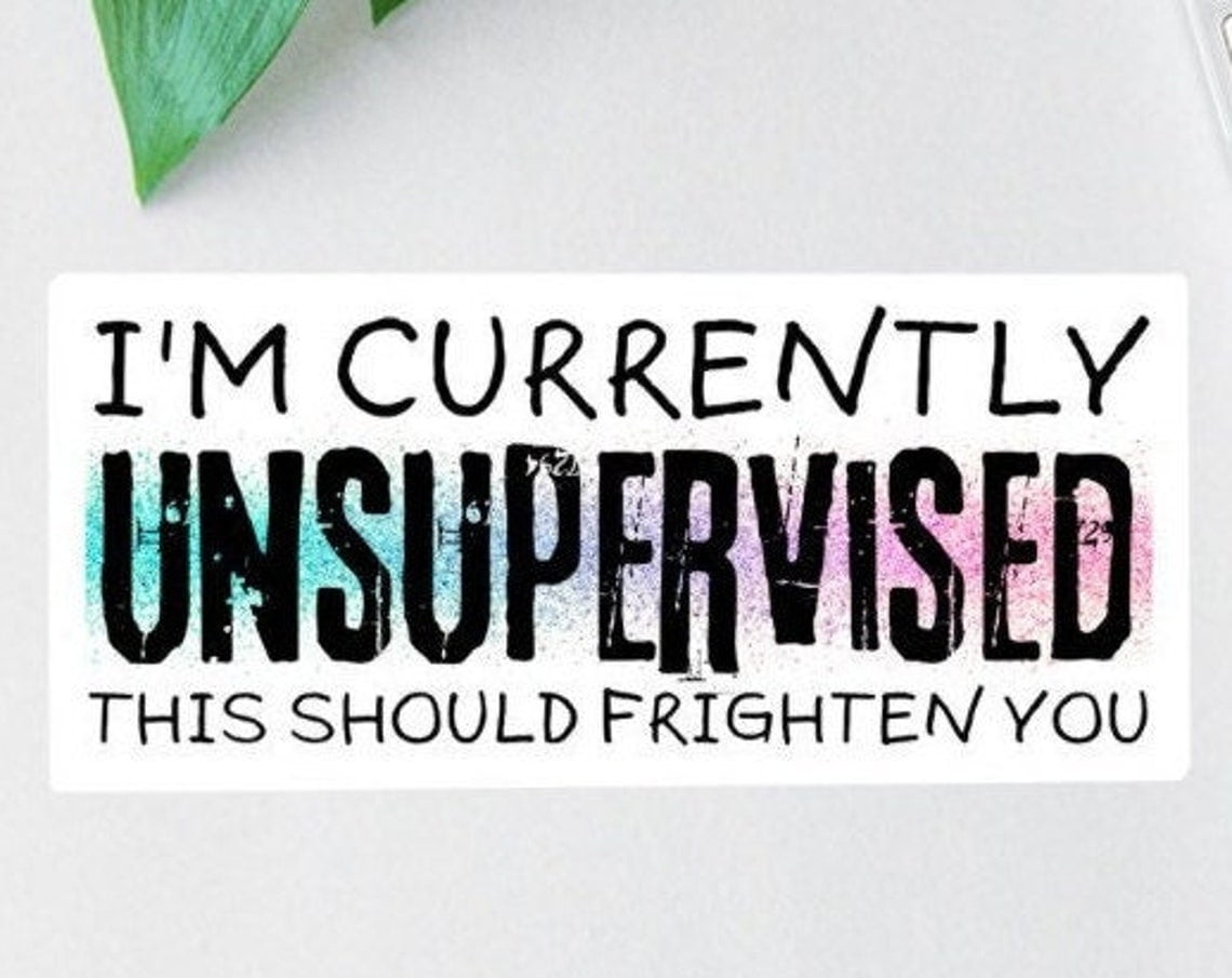 StickerCraft I'm Currently Unsupervised er, Funny Laptop Decals, Helmet ...