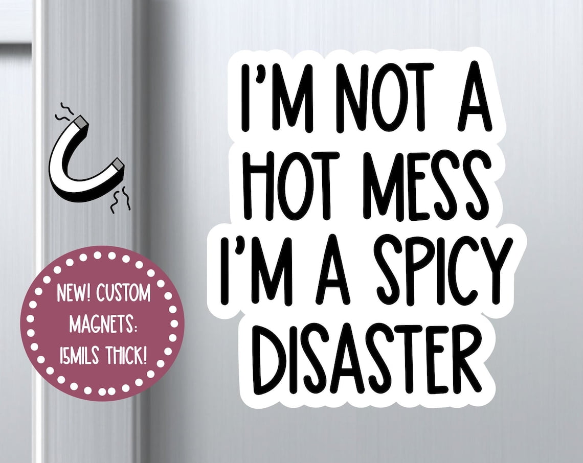 StickerCraft NEW in not a hot mess im a spicy distaster magnet, love ...