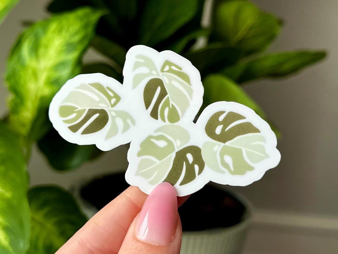 StickerCraft Variegated Monstera Leaves Waterproof er, Plant Mom er ...