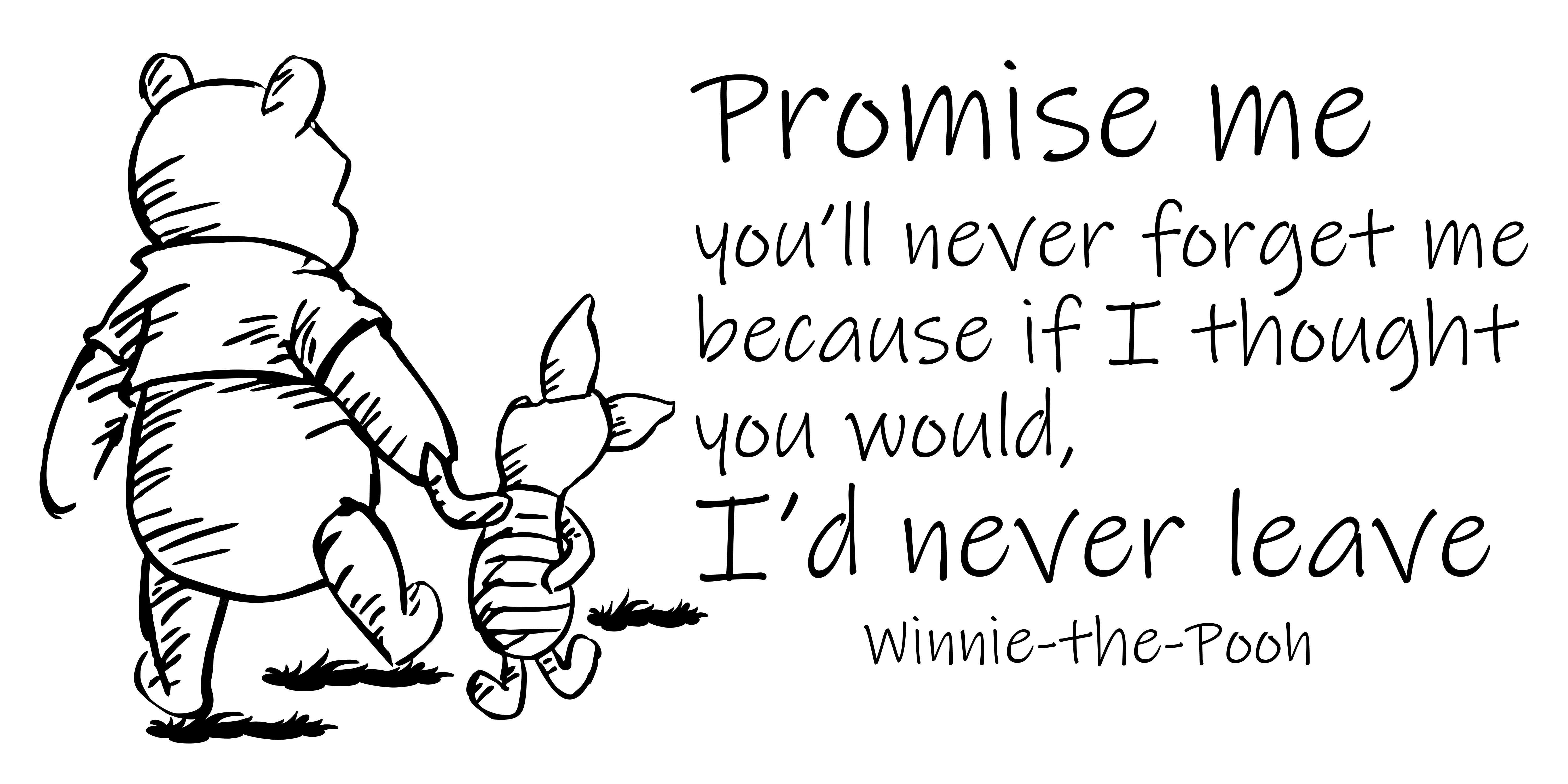 StickerDecal Inspirational Wall Art Quote | Promise Me You'll Never ...