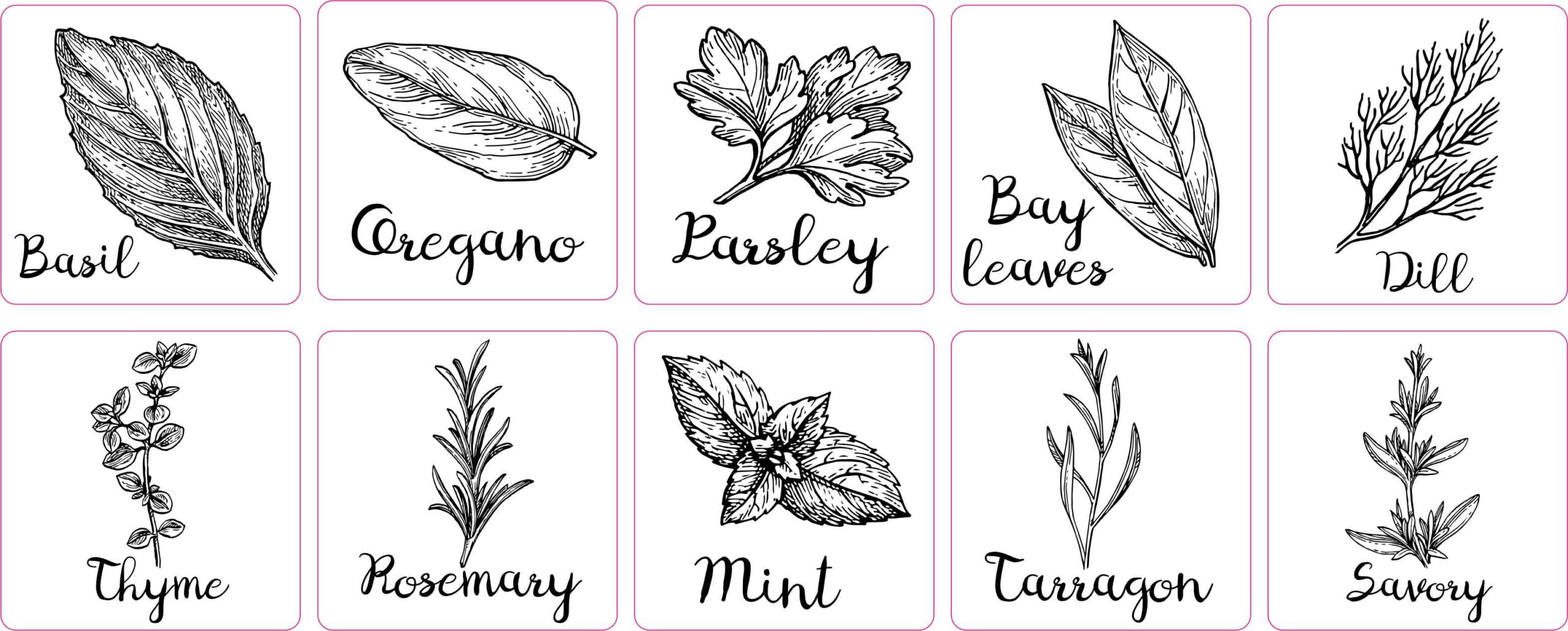 StickerTalk Herb Garden Label Vinyl Stickers, 1 sheet of 10 stic ...