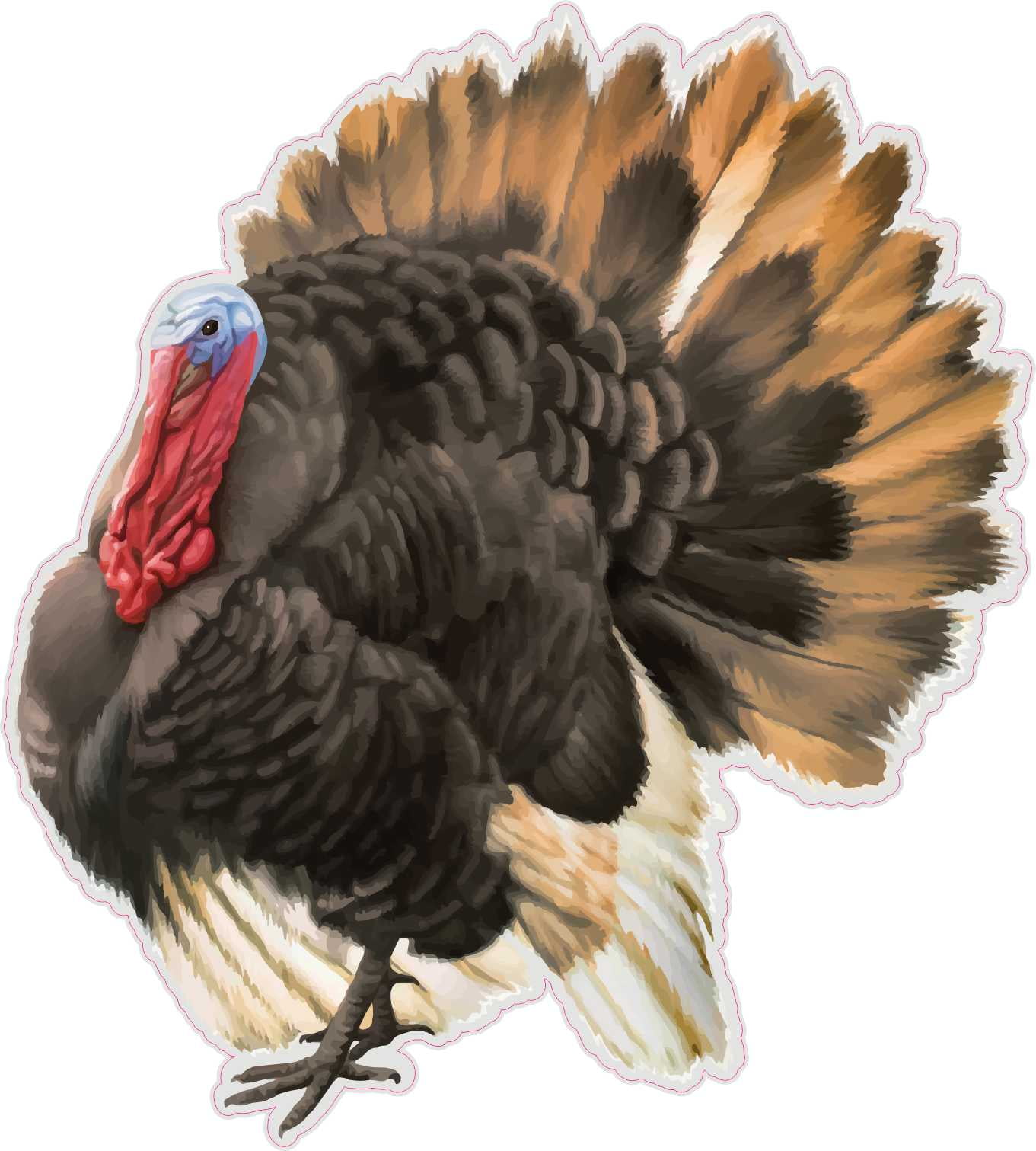 StickerTalk Realistic Turkey Sticker, 4.5 inches x 5 inches - Walmart.com