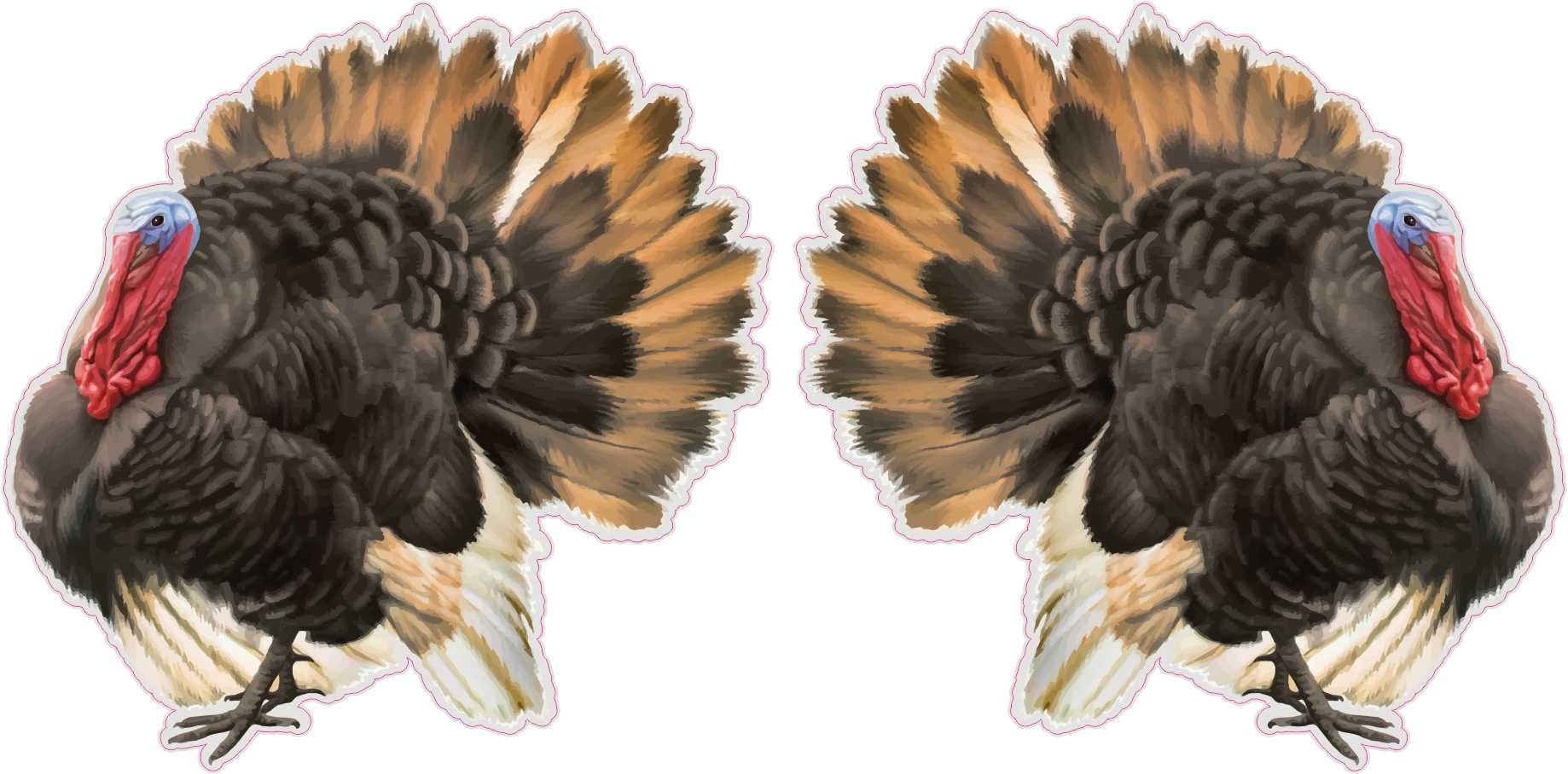 StickerTalk Realistic Turkey Stickers, 1 Sheet of 2 Stickers, 3 inches ...