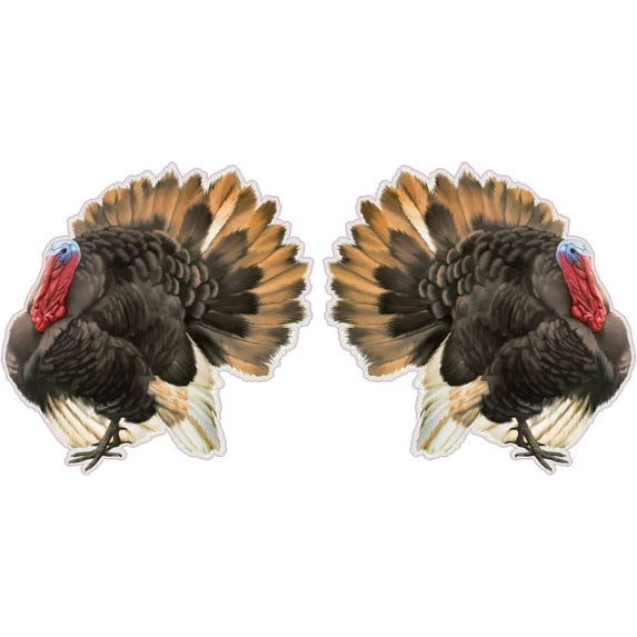 StickerTalk Realistic Turkey Stickers, 1 Sheet of 2 Stickers, 3 inches ...