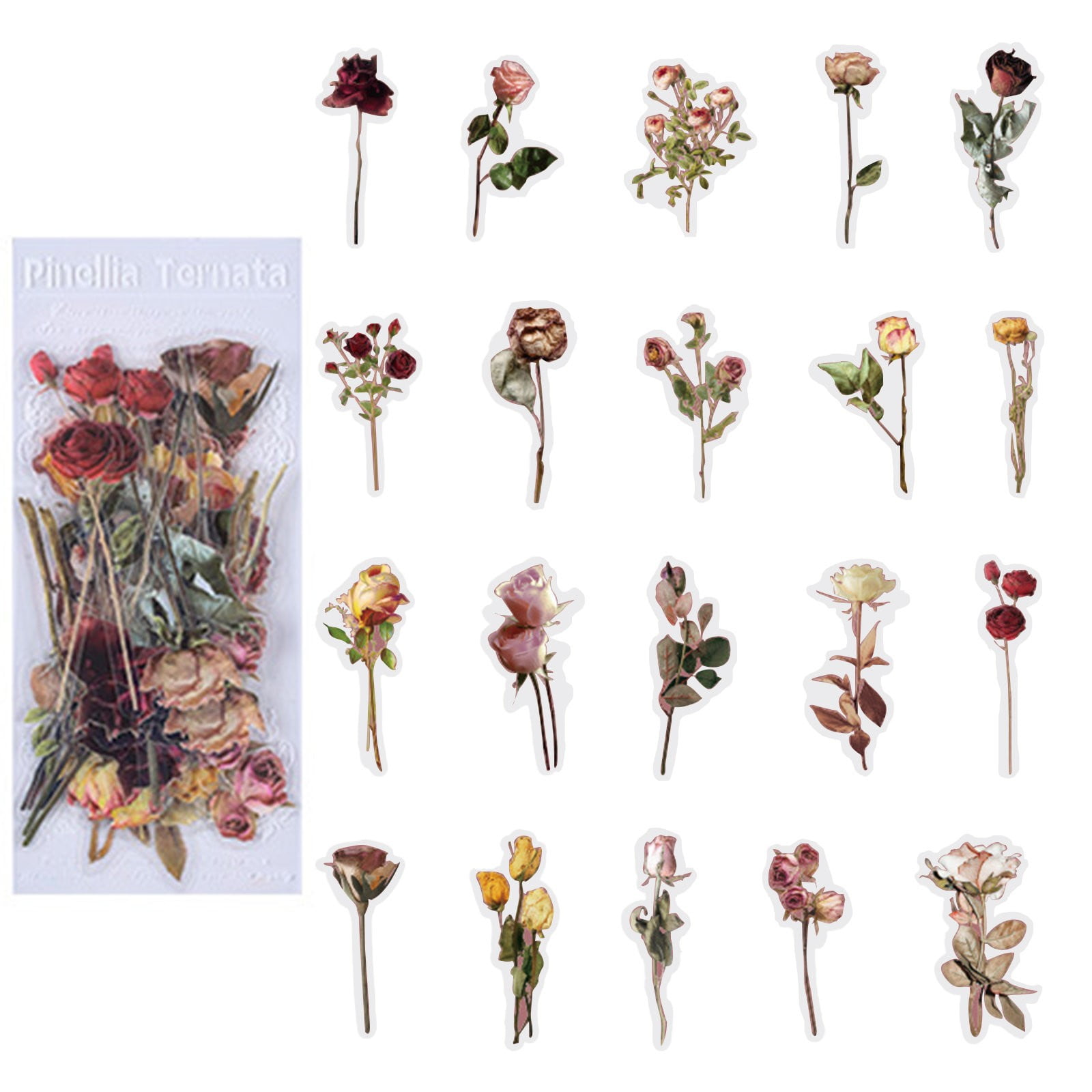 Stickers! Memory Garden PET Scrapbook Stickers Set Vintage Natural ...