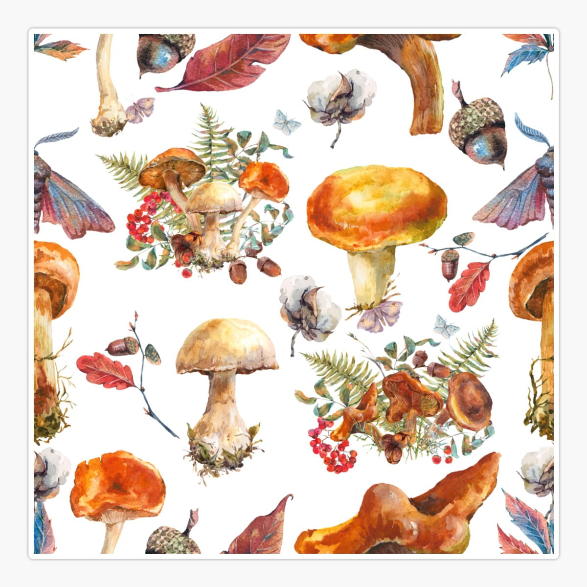 Stickly Acorn Mush Sticker, Phone Decal Water Bottle Stickers Car ...