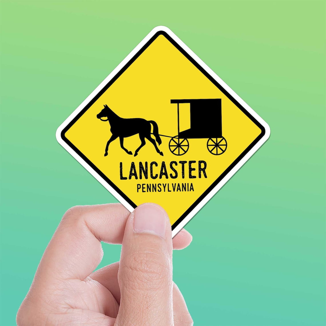 Stickly Amish Horse And Buggy Lancaster Pennsylvania Er - Eastern Pa ...