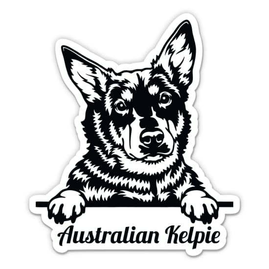 Stickly Australian Kelpie Sticker Laptop Sticker Vinyl for Car, Phone ...