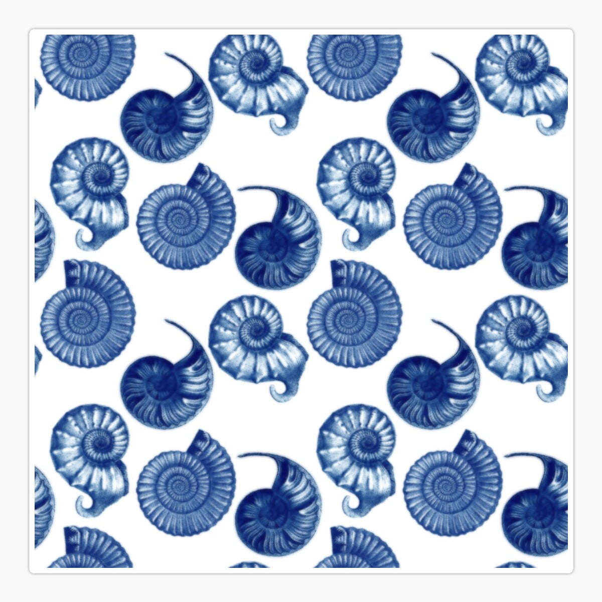 Stickly Beach Themed Navy Blue And White Nautilus Shell Fossils Sticker ...
