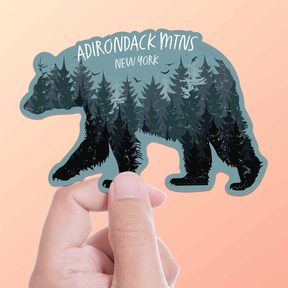 Stickly Black Bear New York Adirondack Mountains Bumper Er, Cute ...