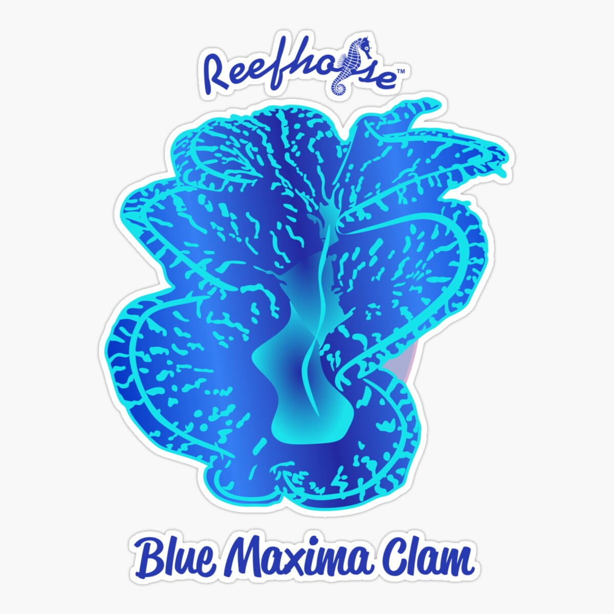 Stickly Blue Maxima Clam Sticker, Phone Decal Water Bottle Stickers Car ...