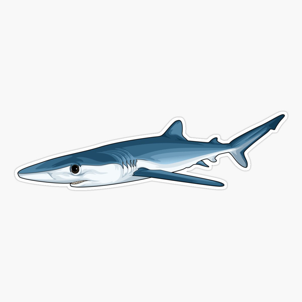 Stickly Blue Shark - Animal Sticker Collection - Marine Sticker, Phone ...