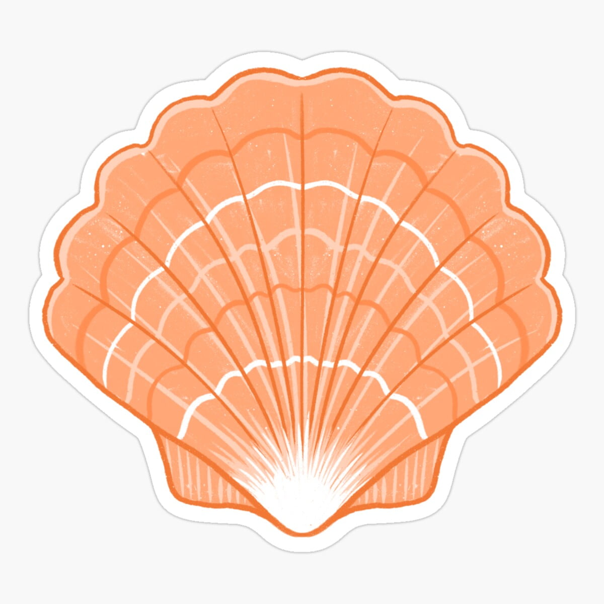 Stickly Coral Orange Shell Sticker, Phone Decal Water Bottle Stickers ...