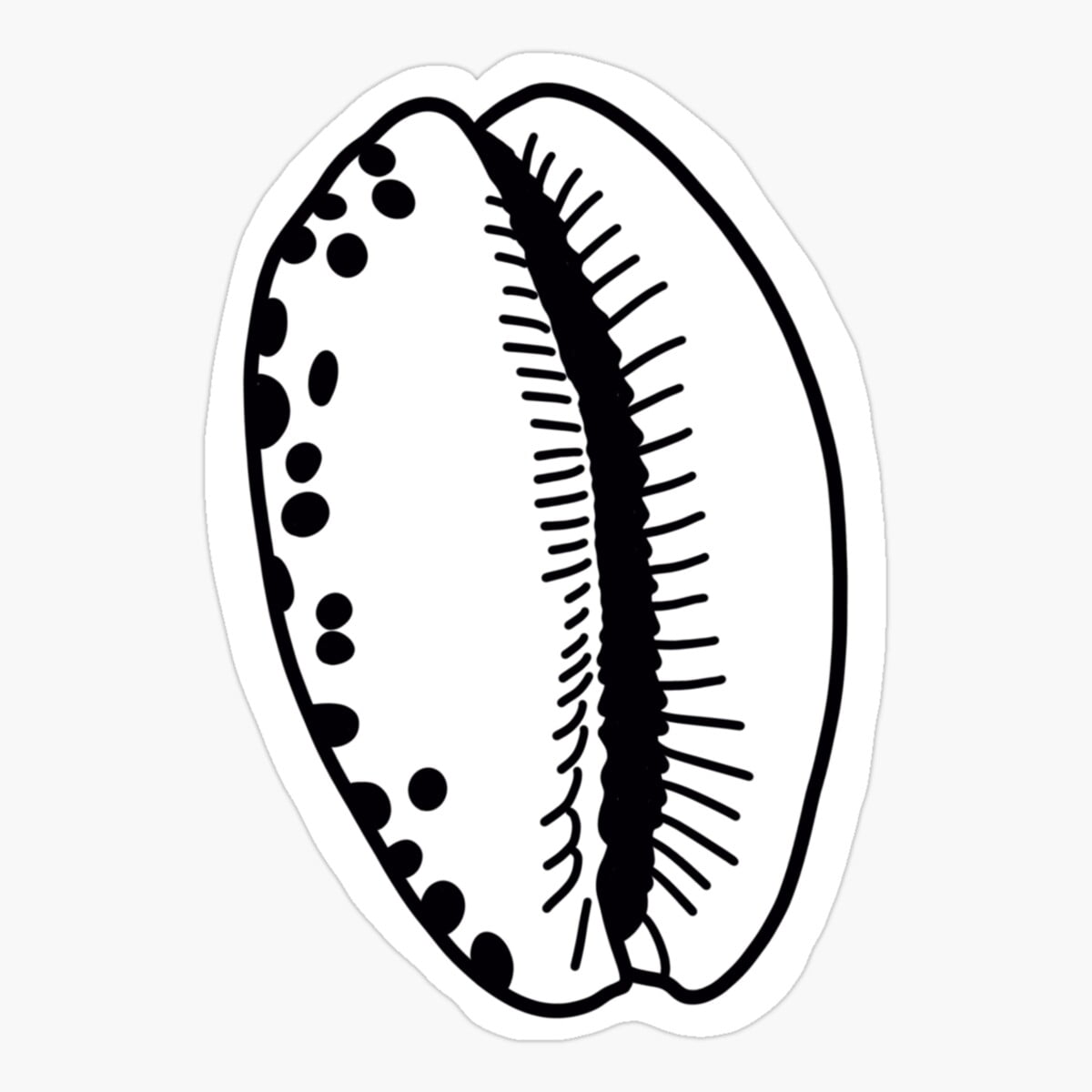 Stickly Cowrie Seashell Simple Line Drawing Sticker, Phone Decal Water ...