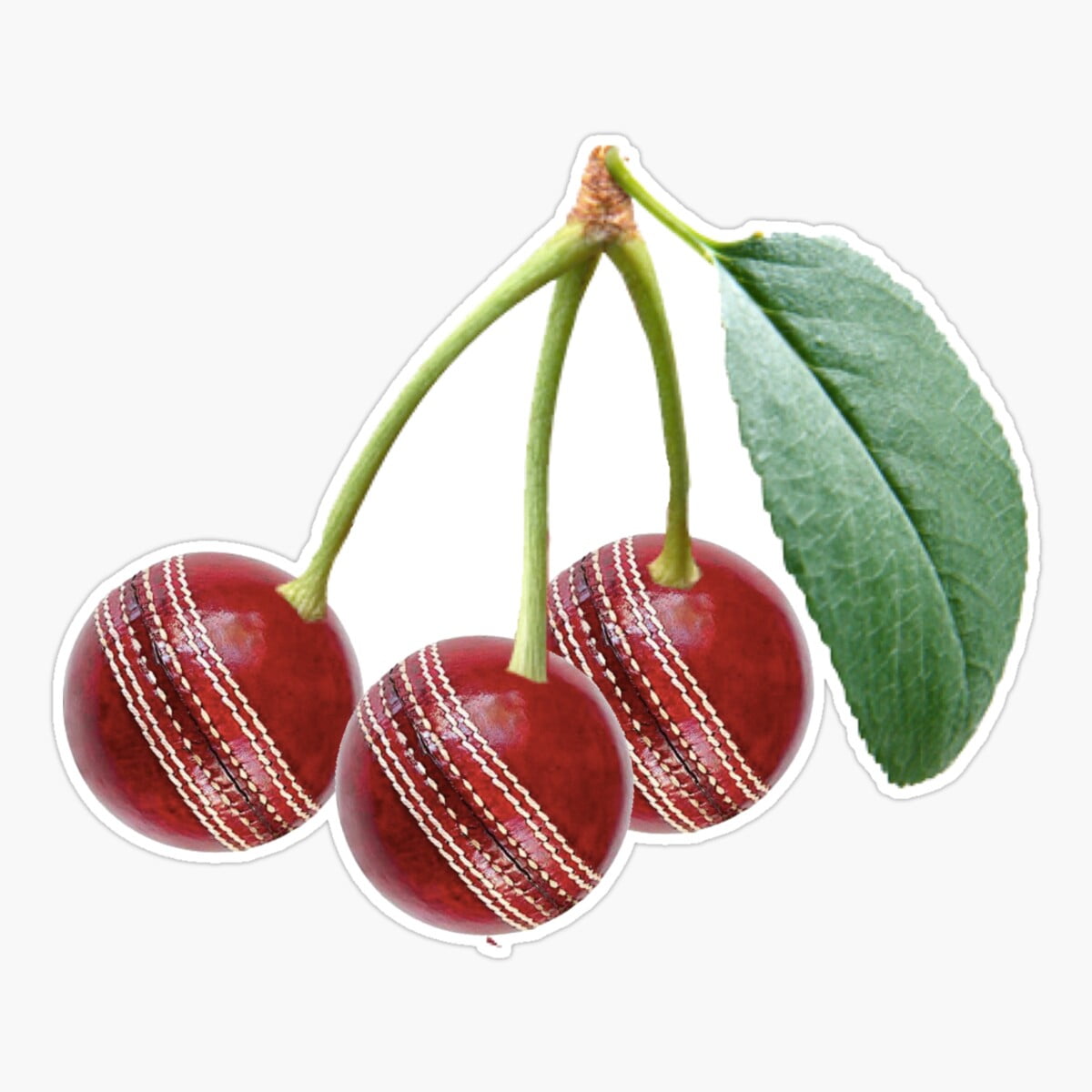 Stickly Cricket Ball Cherries! Sticker, Phone Decal Water Bottle ...