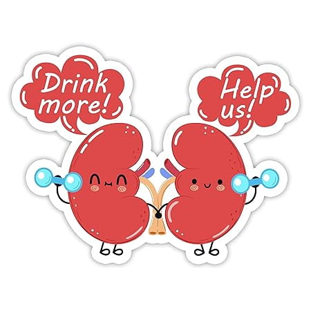 Stickly Drink More Water Sticker Funny Kidney Sticker Nurse Gift ...