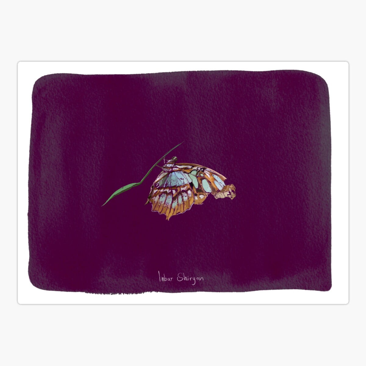 Stickly Erfly- Missing Piece On A Leasticker, Phone Decal Water Bottle ...