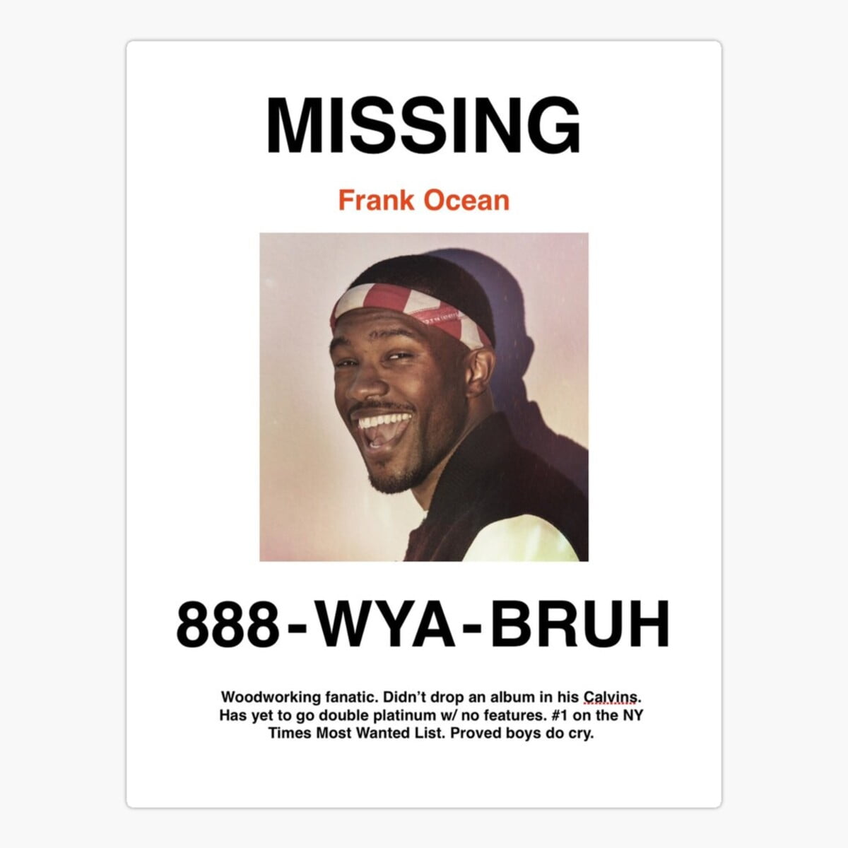 Stickly Frank Ocean Missing Poster Sticker, Phone Decal Water Bottle Stickers Car Decals, Funny ...
