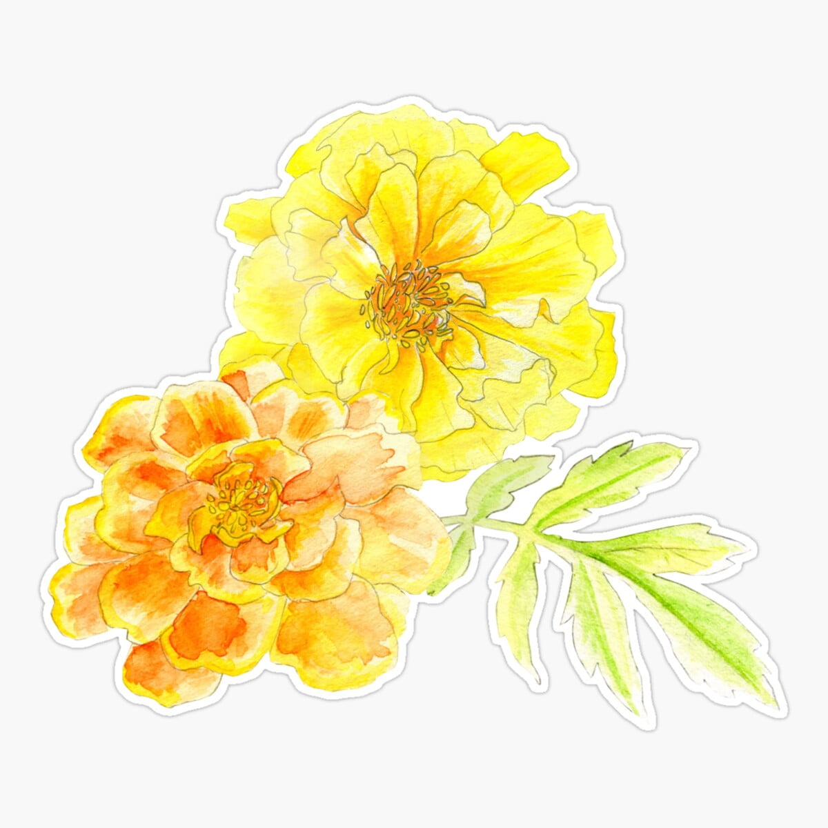 Stickly French Marigolds Orange Yellow Watercolor Art Sticker, Phone ...