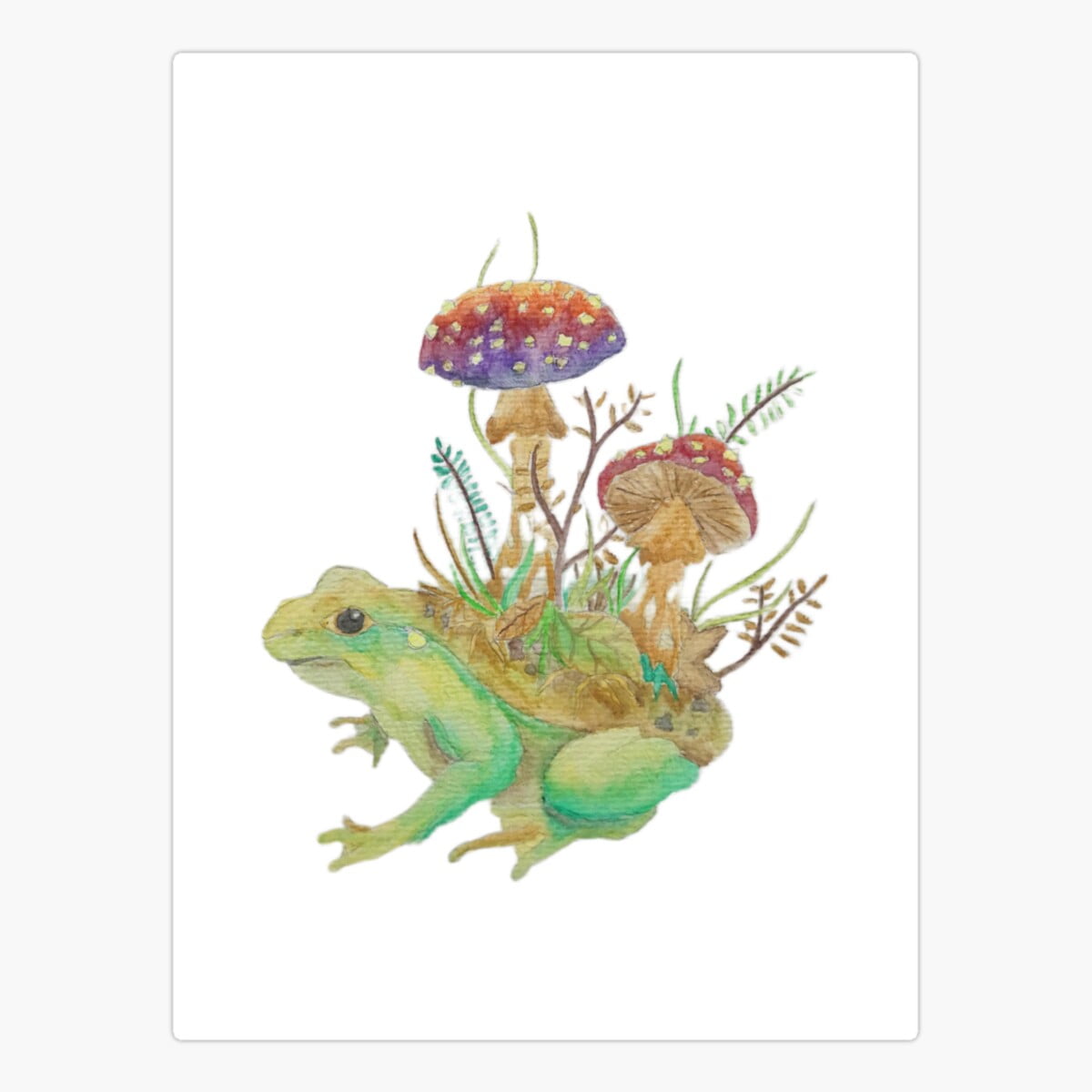 Stickly Frog Sticker, Phone Decal Water Bottle Stickers Car Decals ...
