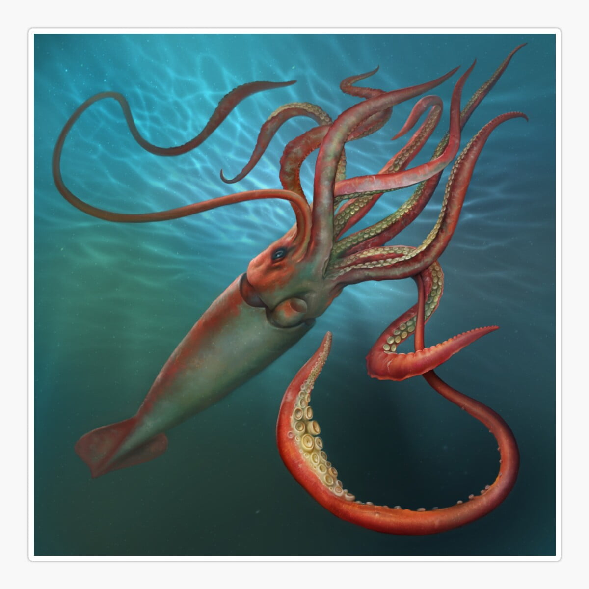 Stickly Giant Squid Sticker, Phone Decal Water Bottle Stickers Car ...