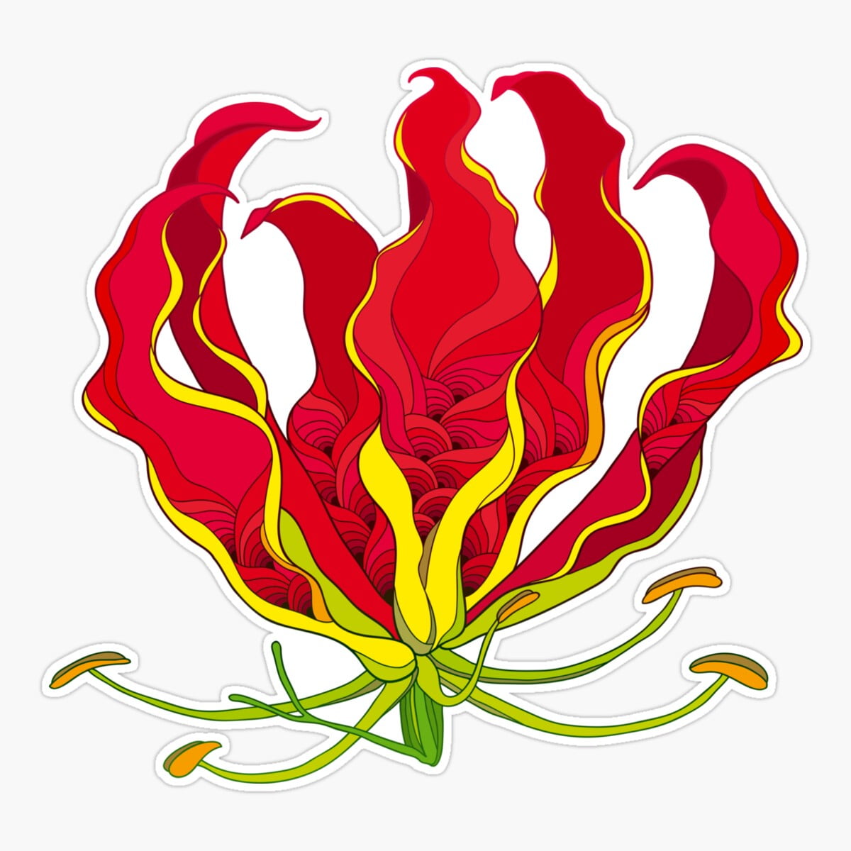 Stickly Gloriosa Superba Or Flame Lily. Sticker, Phone Decal Water ...