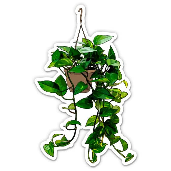 Stickly Hanging Plant Sticker Laptop Sticker Vinyl for Car, Phone ...