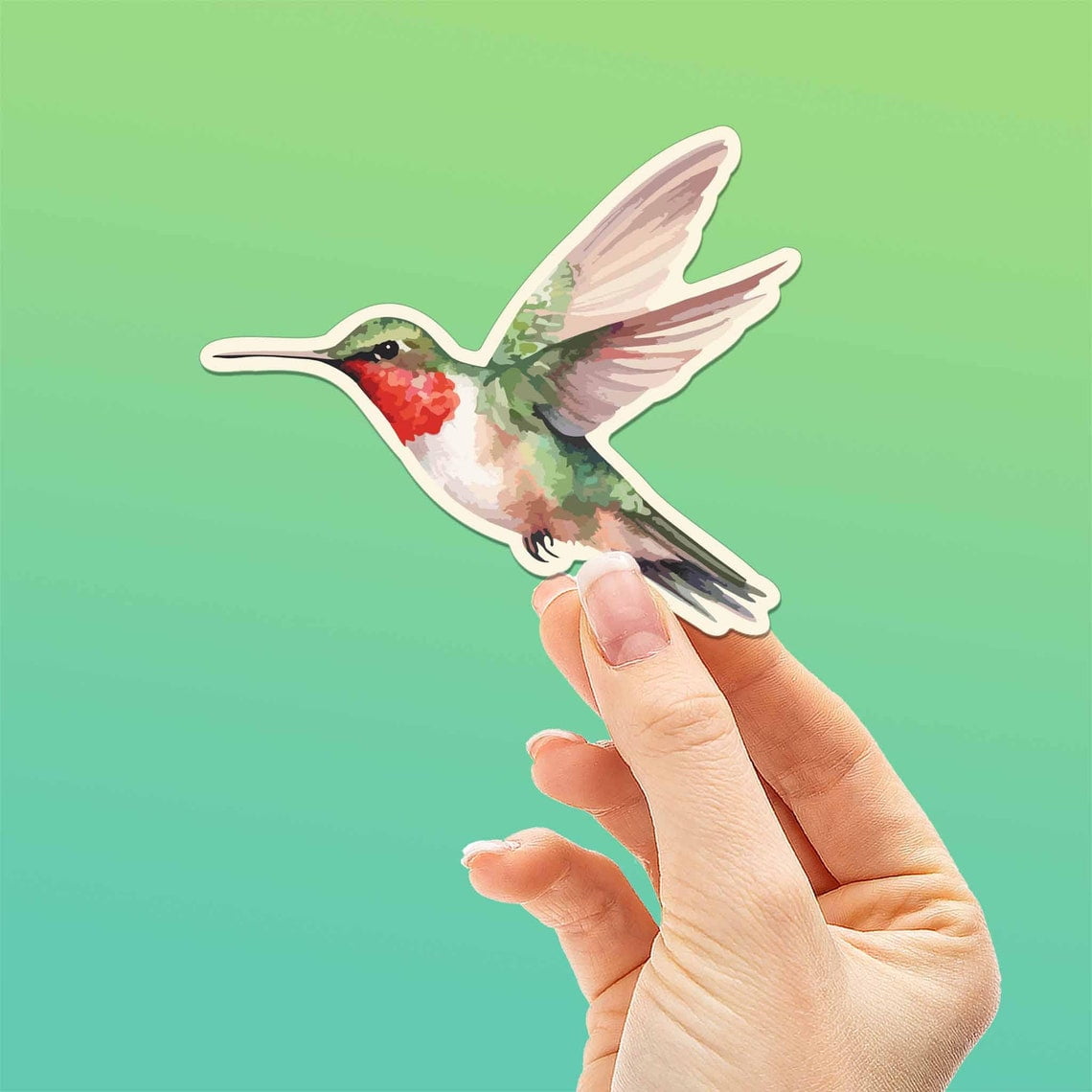 Stickly Hummingbird Er - Mini Birdwatching Decal, Thoughtful ...