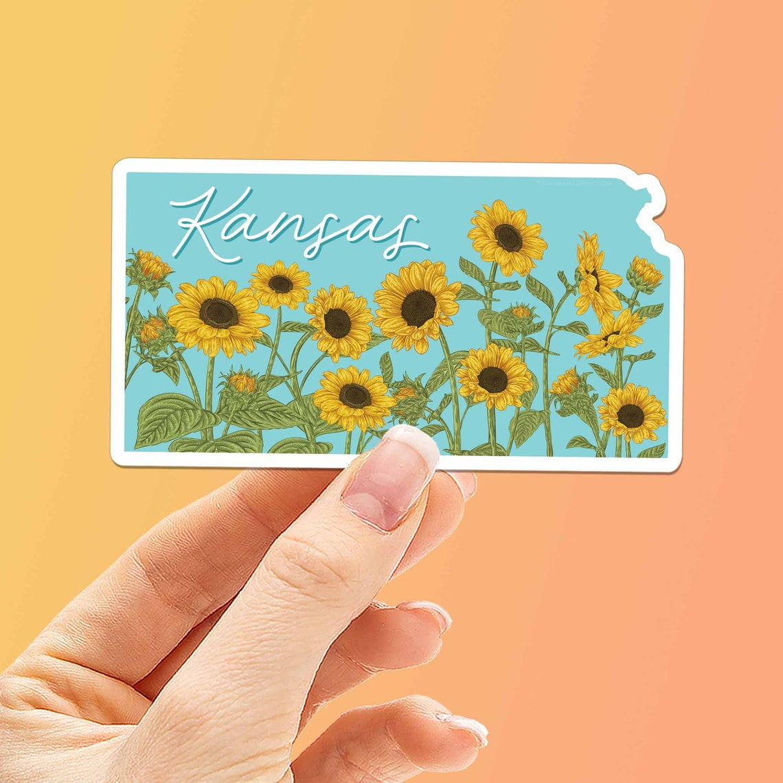 Stickly Kansas Sunflower Bumper Er, Cute Flower Farm Decal For ...