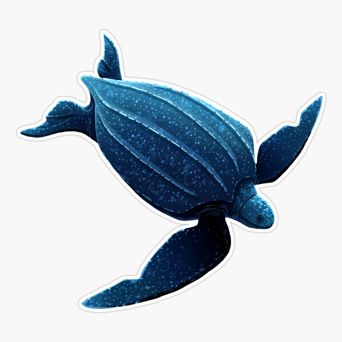 Stickly Leatherback Sea Turtle Sticker, Phone Decal Water Bottle ...