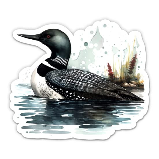 Stickly Loon Sticker Laptop Sticker Vinyl for Car, Phone, Water Bottle ...