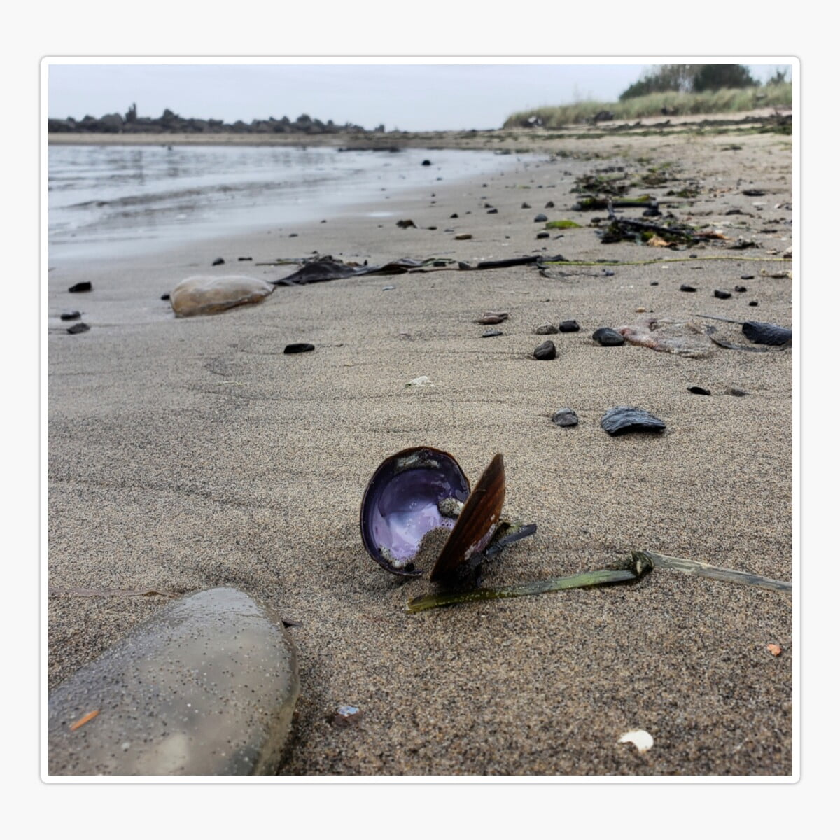 Stickly Low Tide 1 Sticker, Phone Decal Water Bottle Stickers Car ...