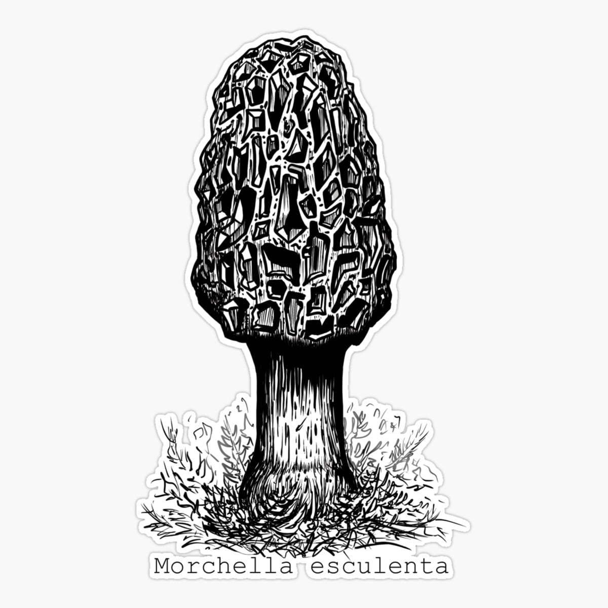 Stickly Morel Mushroom Illustration Sticker, Phone Decal Water Bottle ...