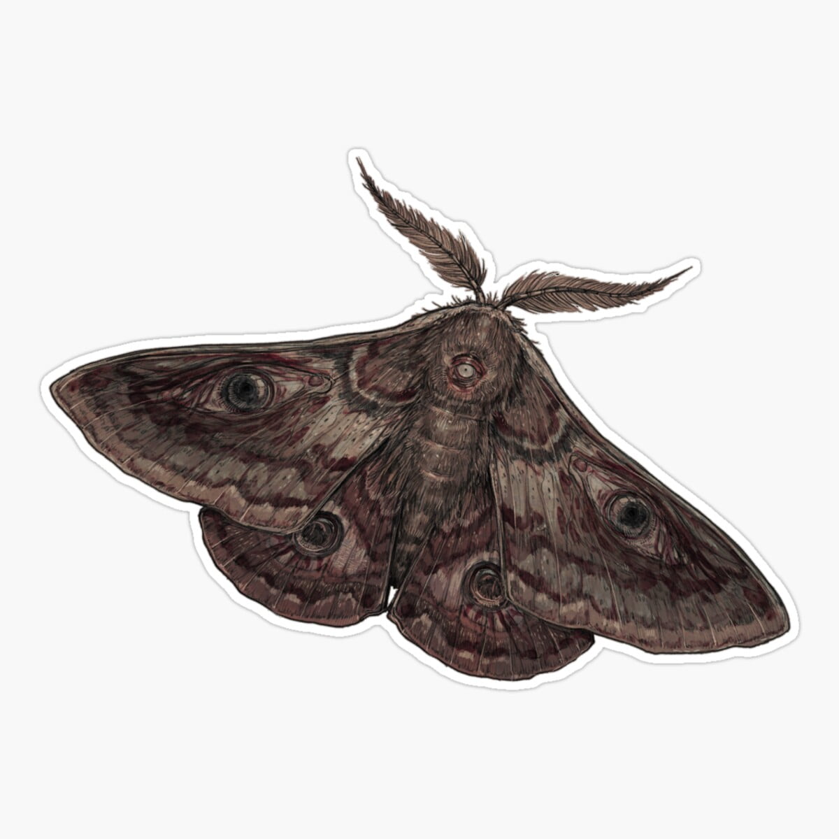 Stickly Moth -Print And Stickers Sticker, Phone Decal Water Bottle ...