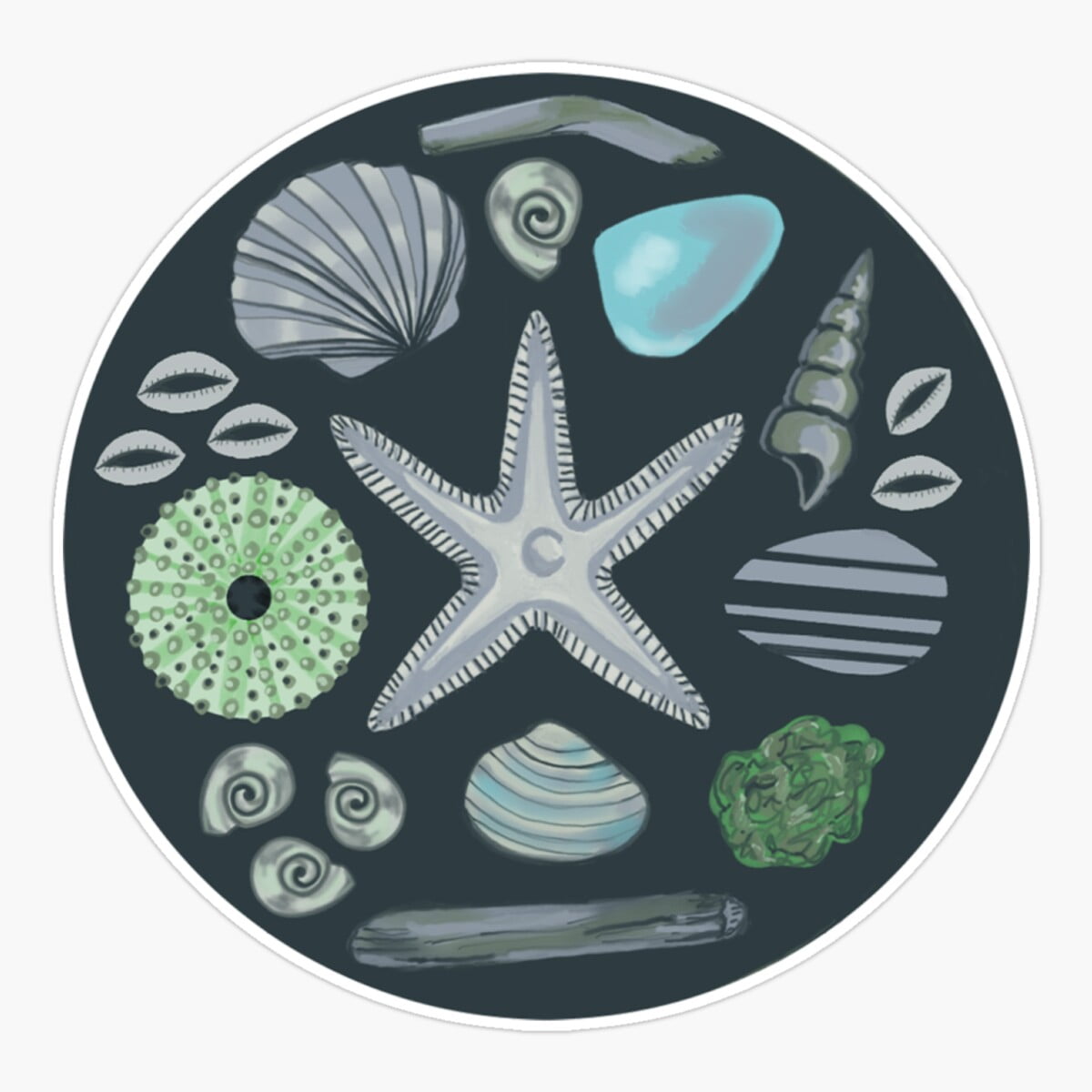 Stickly Nautical Seaside Rockpool At The Beach With Starfish Sea Shells ...