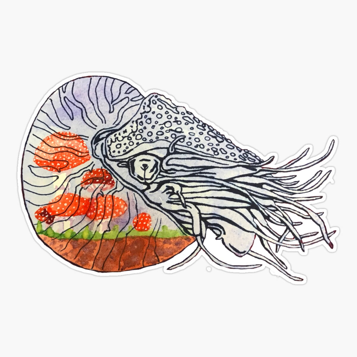 Stickly Nautilus Terrarium Sticker, Phone Decal Water Bottle Stickers ...