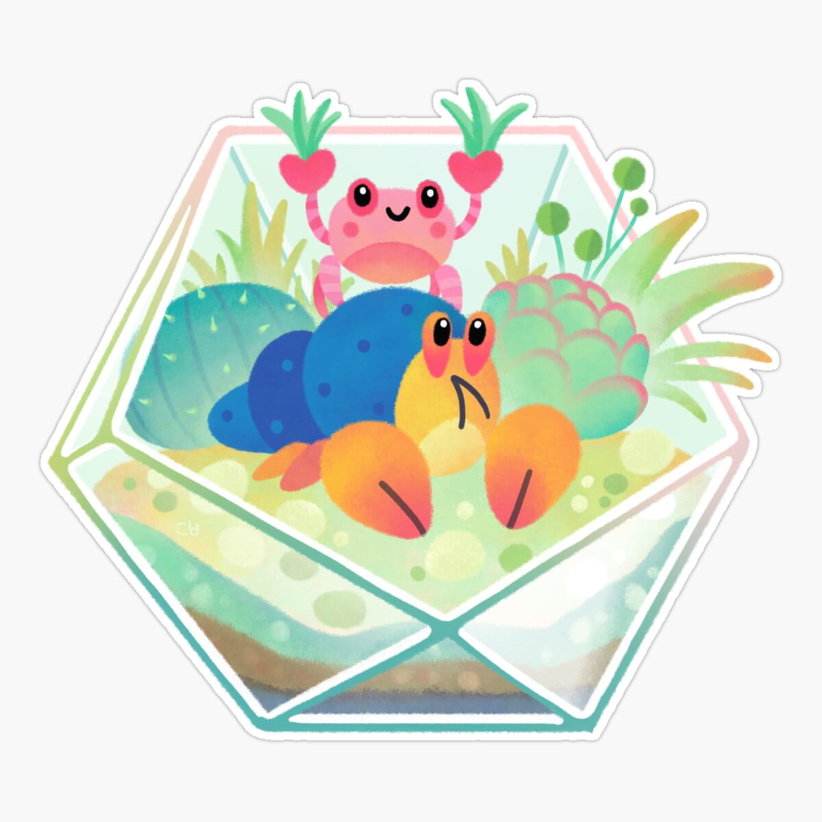 Stickly Ocean Terrarium - Boxer Crab Hermit Crab Sticker, Phone Decal ...