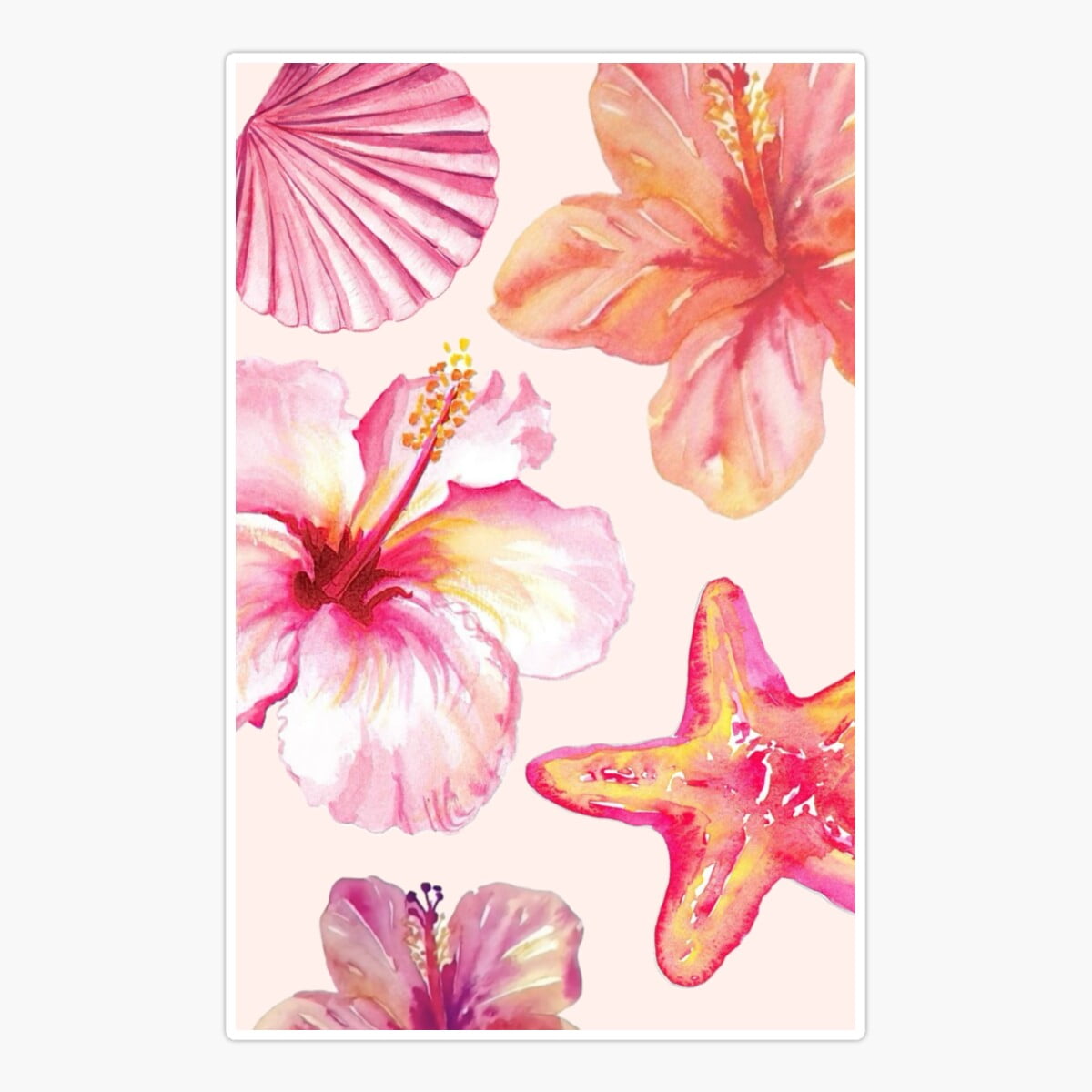 Stickly Orange And Pink Hibiscus Flower With Starfish And Clam Sea ...