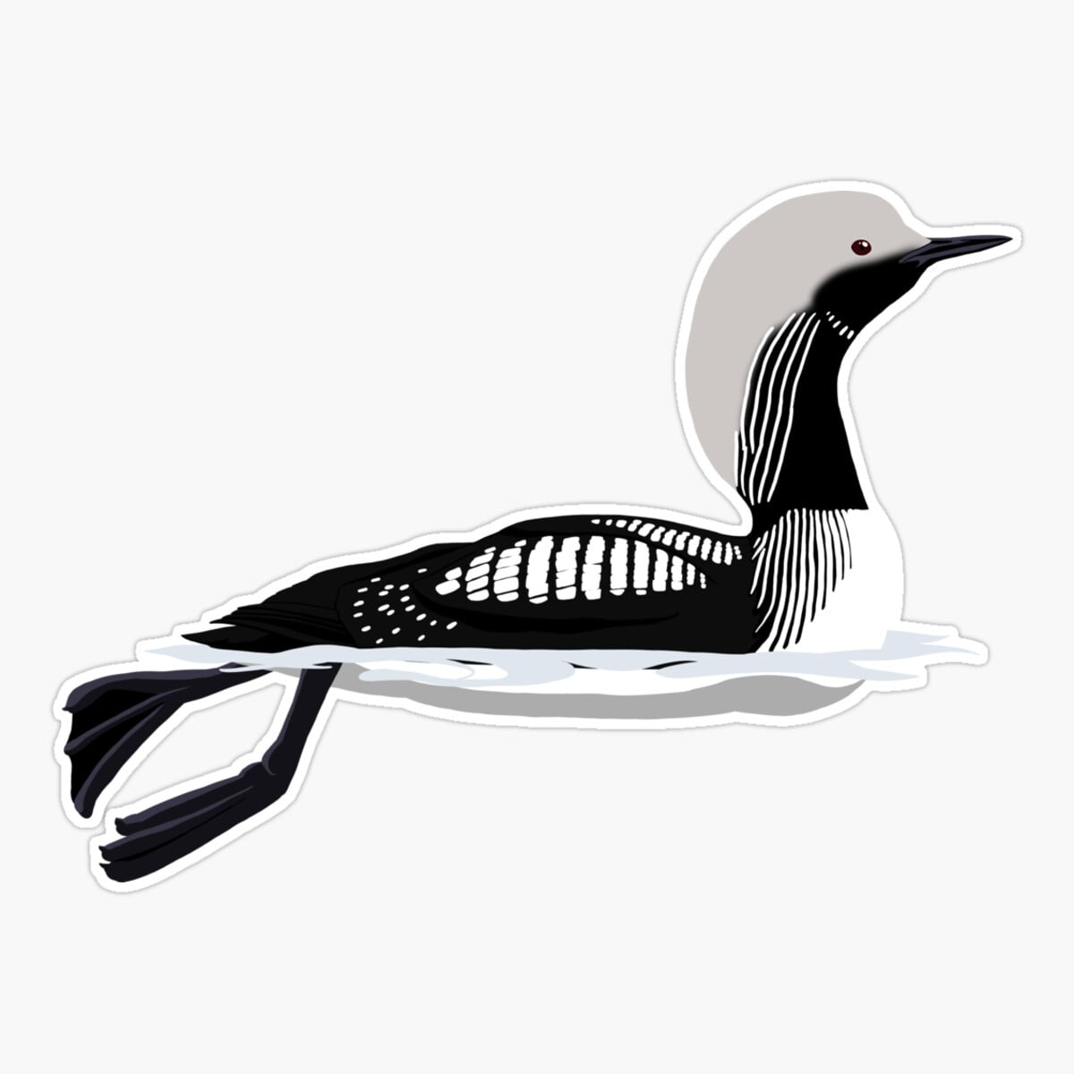Stickly Pacific Loon Sticker, Phone Decal Water Bottle Stickers Car ...