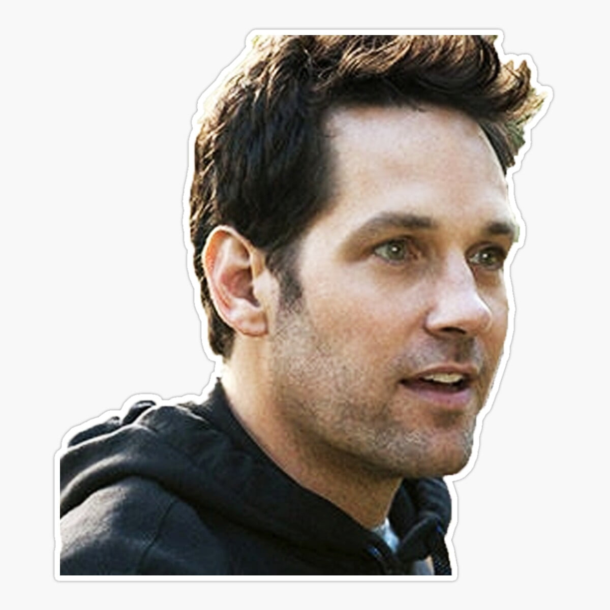 Stickly Paul Rudd Thinking Sticker, Phone Decal Water Bottle Stickers ...