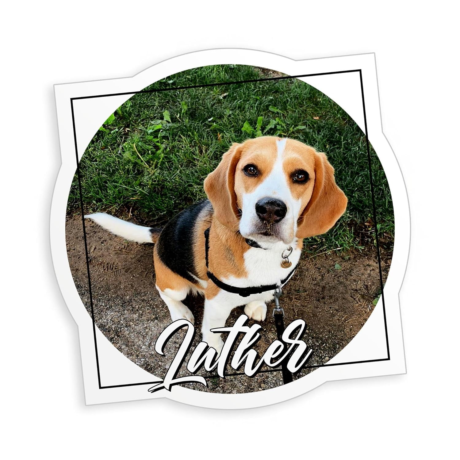 Stickly Pet Photo Sticker Stickers with Dog Cat Owner Photo Picture ...