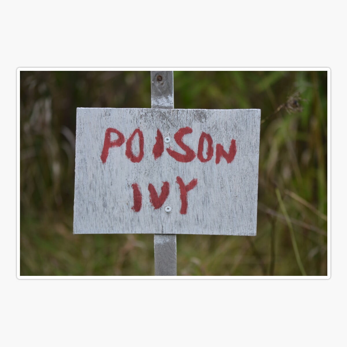 Stickly Poison Ivy Warning Sticker, Phone Decal Water Bottle Stickers ...