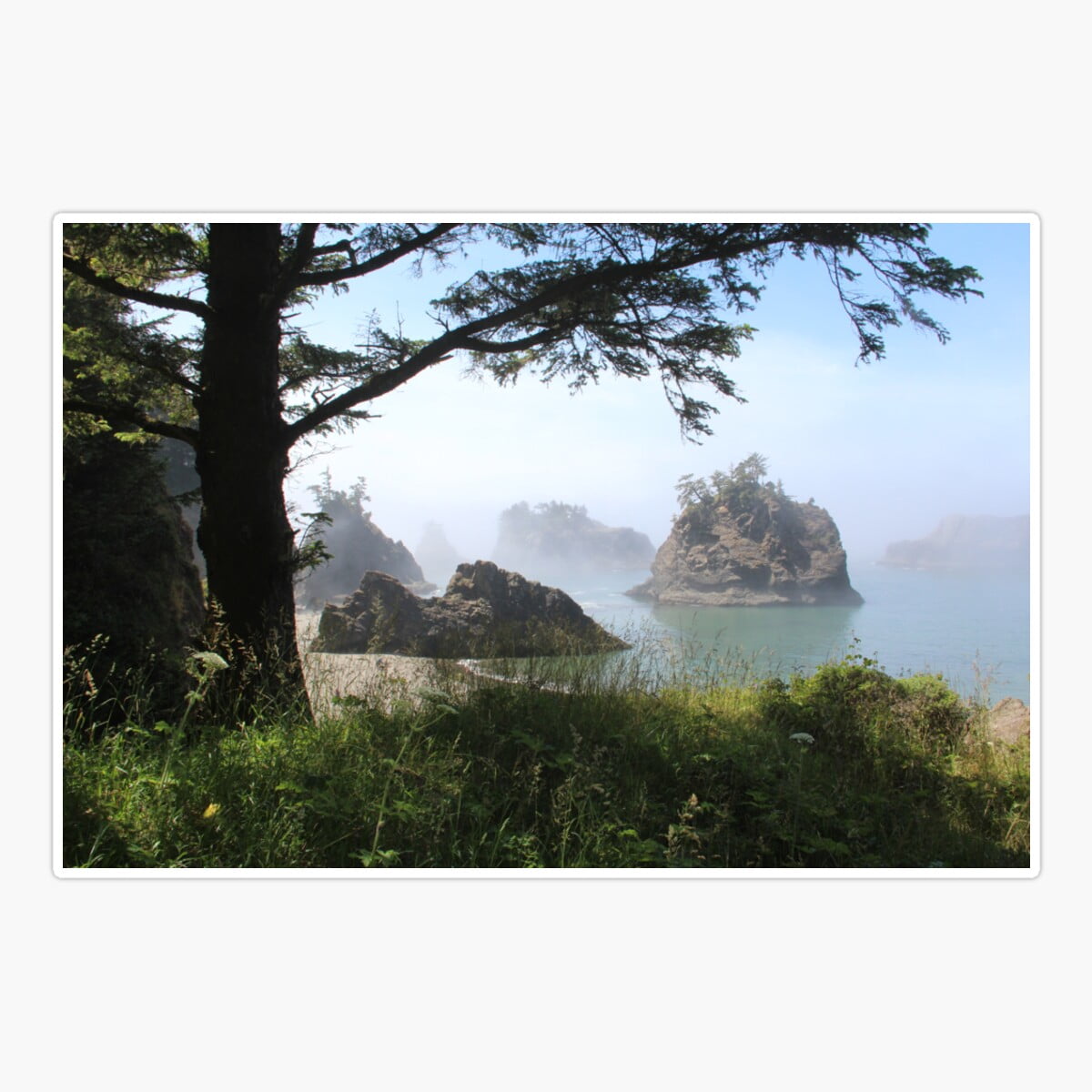 Stickly Secret Beach Oregon Sticker, Phone Decal Water Bottle Stickers ...