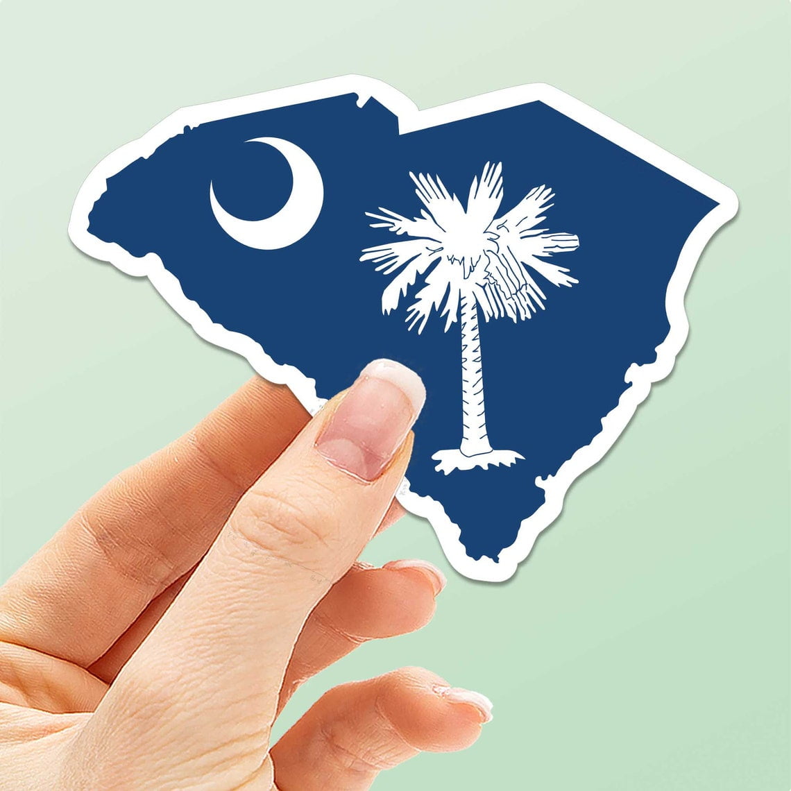 Stickly South Carolina Palmetto Bumper Er - Blue Sc State Flag Decal ...