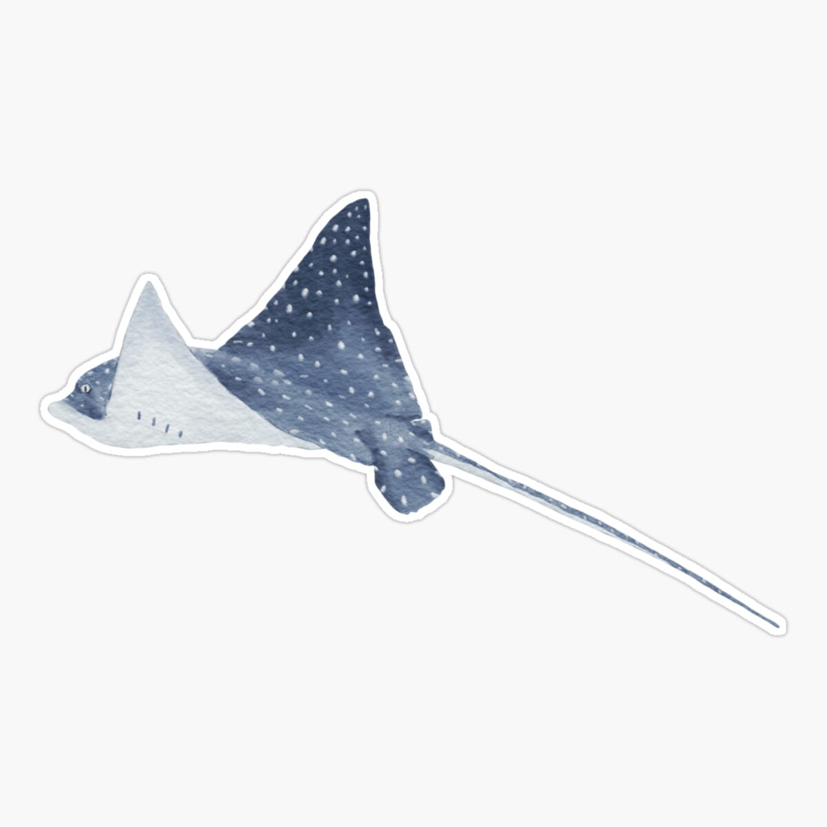 Stickly Stingray Fish Illustration Sticker, Phone Decal Water Bottle ...