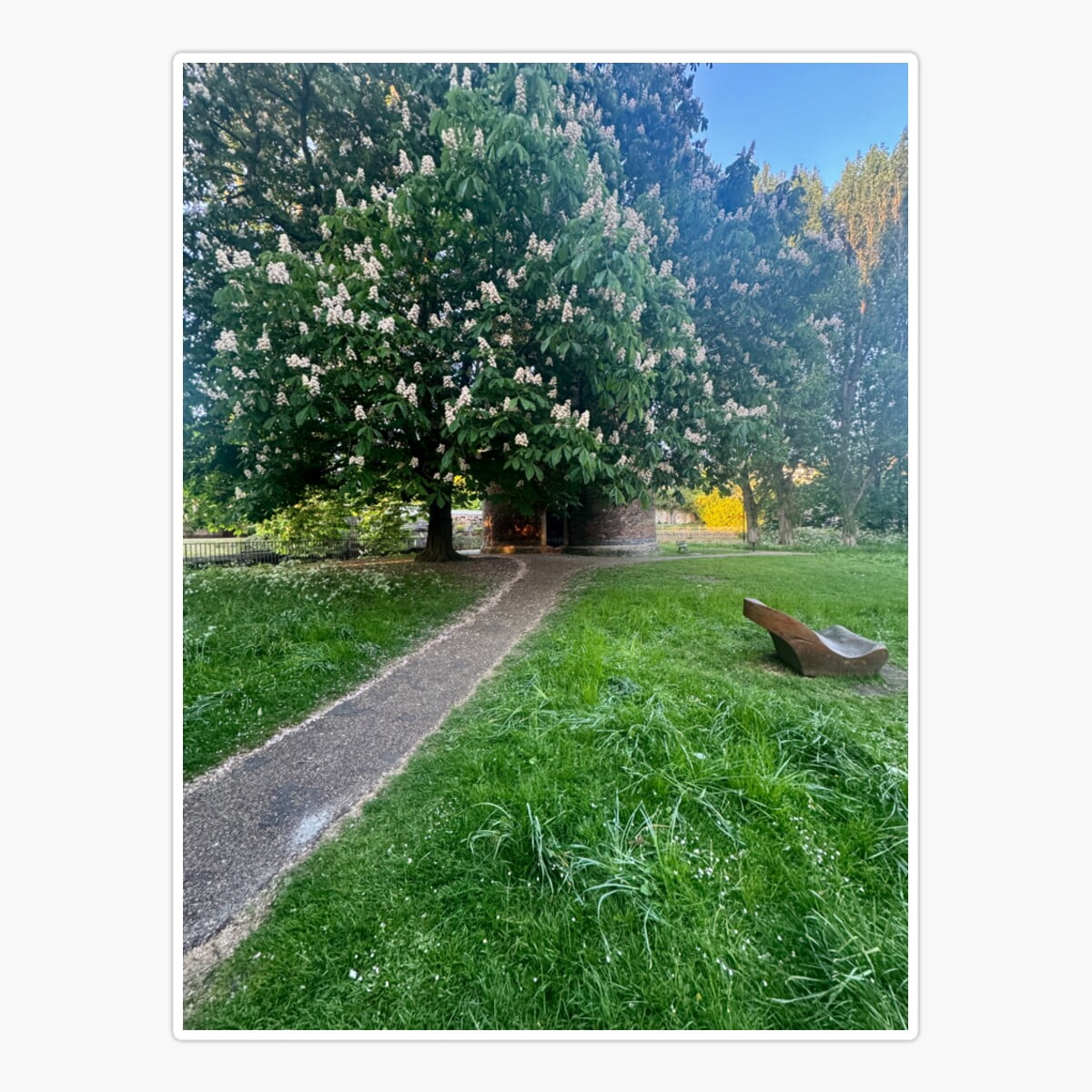 Stickly Summer Horse Chestnut At Cow Tower Norwich Sticker, Phone Decal ...